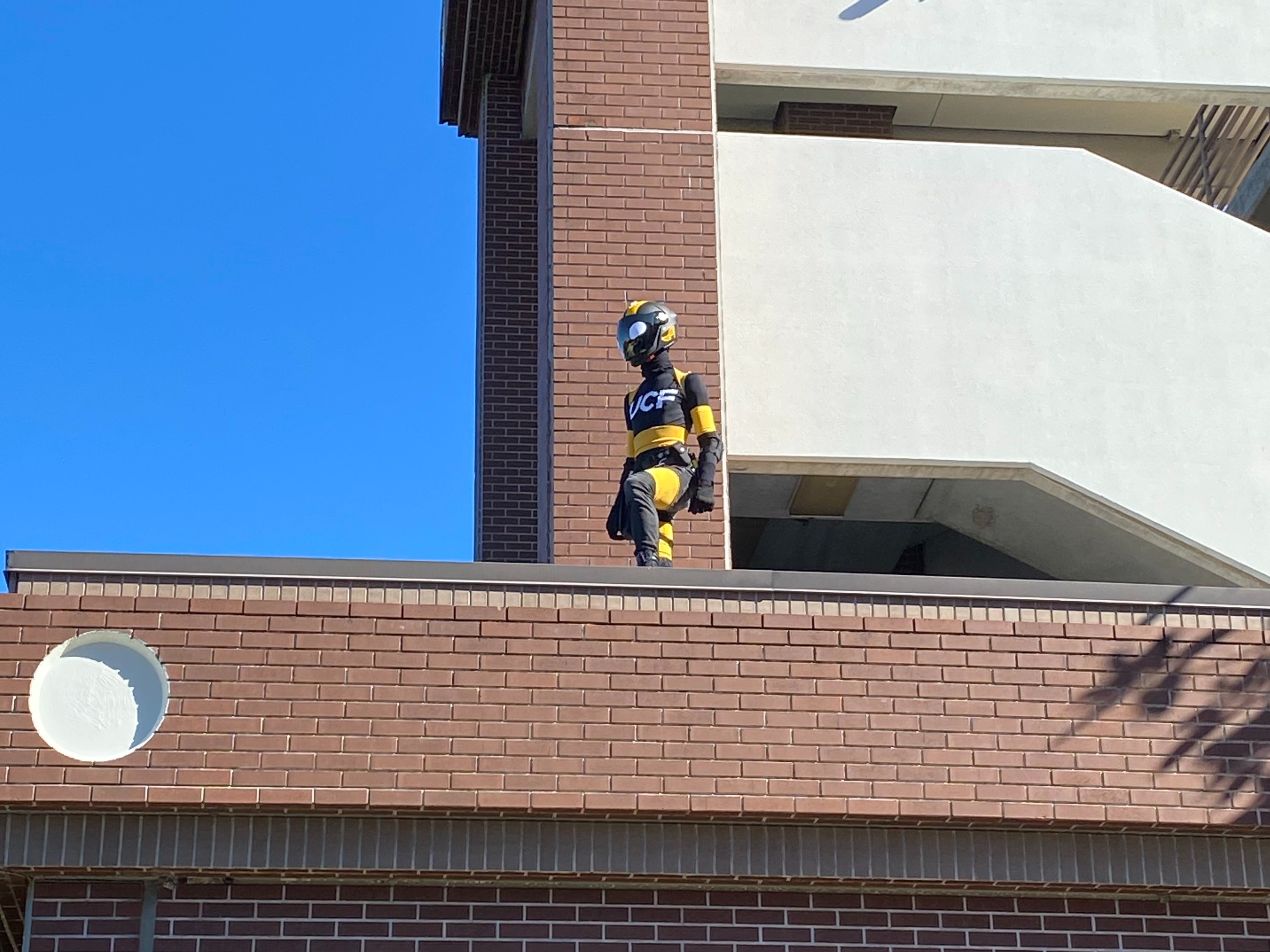 The Bright Side of Black and Gold: Knightly’s Mission — KnightNews.com